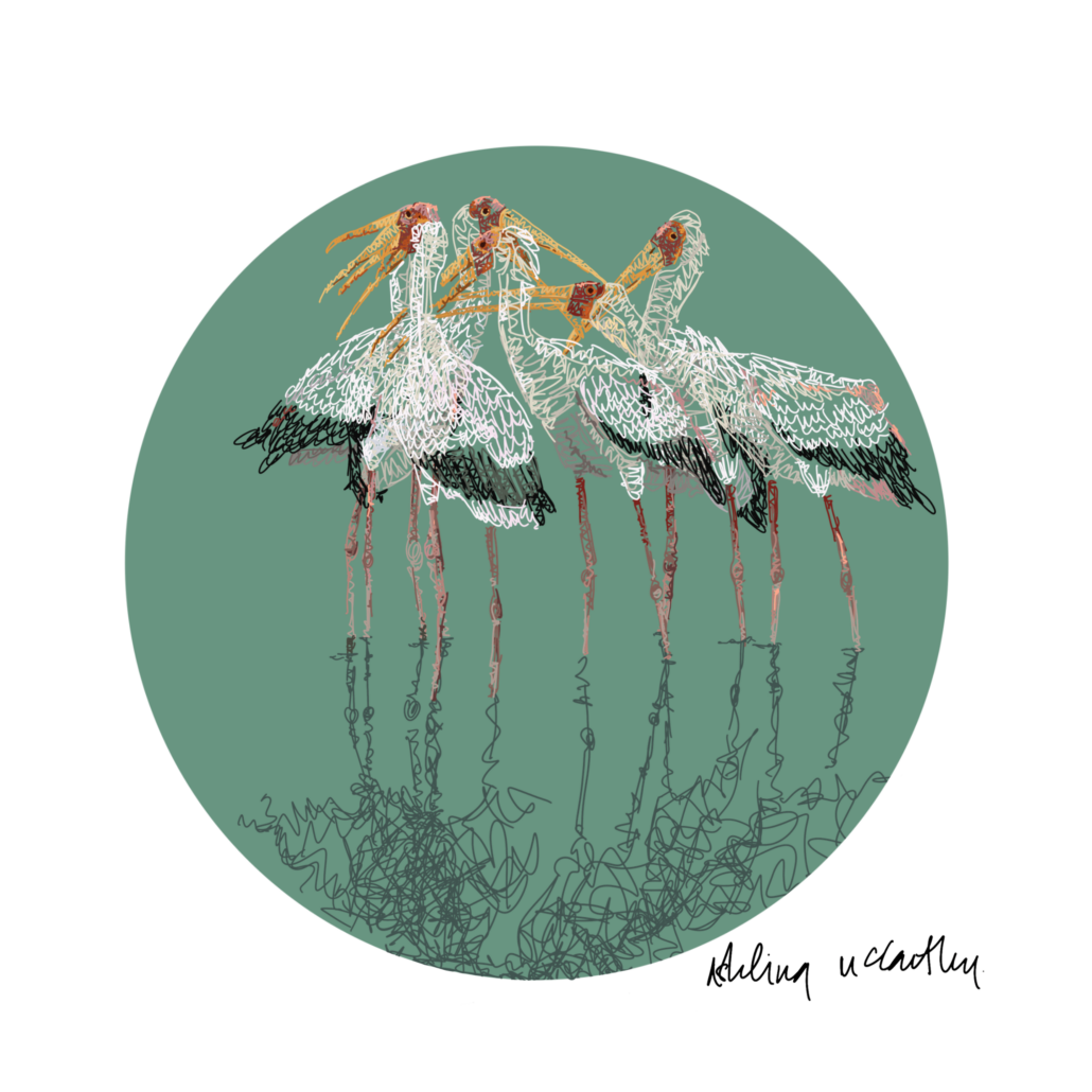 Waterhole Natter 4 Digital Art Print